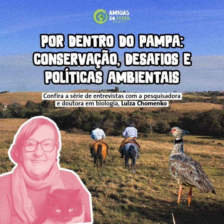 Série “Por dentro do Pampa: conservação, desafios e políticas ...