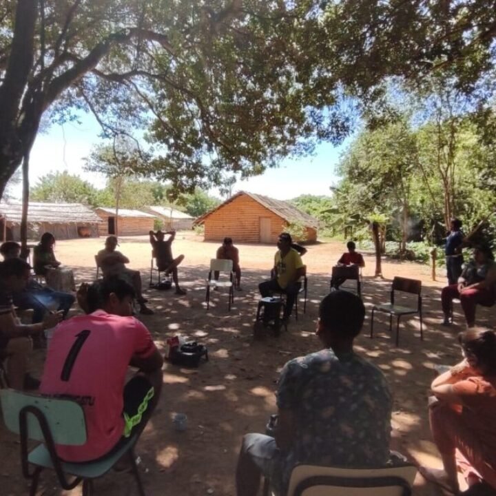 Florestas e Biodiversidade – Amigas da Terra Brasil