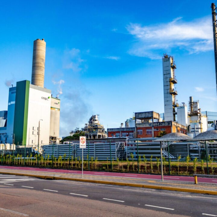 Retomadas e Direito à Cidade – Amigas da Terra Brasil